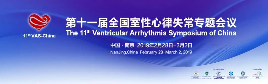 阔步再起航，筑梦十年新征程——VAS-CHINA2019成功召开 -- 严道医声网