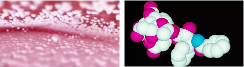 CIT热点前瞻｜新型DCB实习中心独家解密 -- 严道医声网