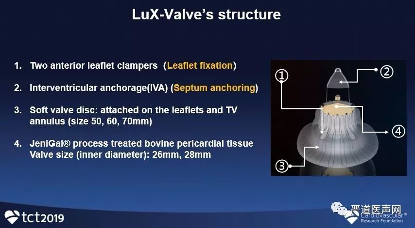 TCT2019｜中国原创介入三尖瓣LuX-Valve闪耀TCT2019 -- 严道医声网