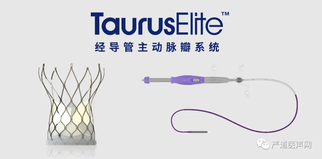 四川大学华西医院陈茂团队顺利完成沛嘉医疗TaurusElite™具有可回收功能经导管主动脉瓣系统上市前临床试验分中心首次植入 -- 严道医声网