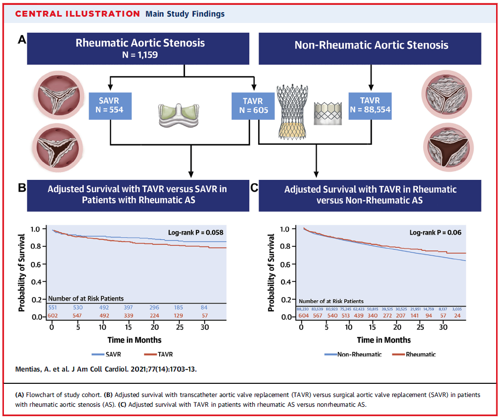 文献速递 | 风湿性主动脉瓣狭窄患者治疗策略选择：TAVR or SAVR? -- 严道医声网