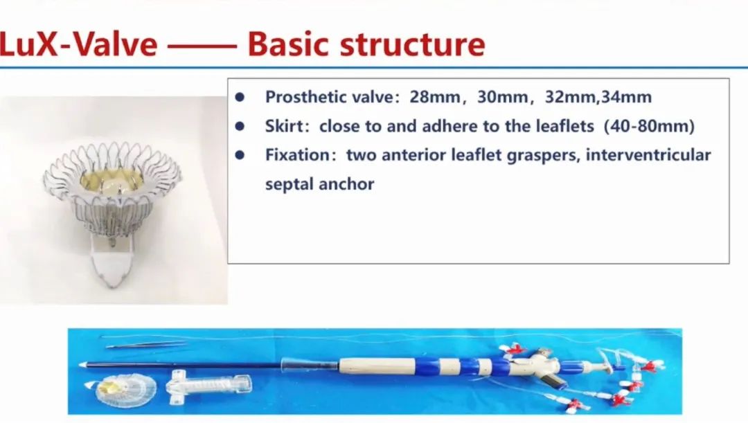 中国结构周2021｜国际频道第四日回归TAVR经典话题，共话复杂TAVR的现在与未来 -- 严道医声网