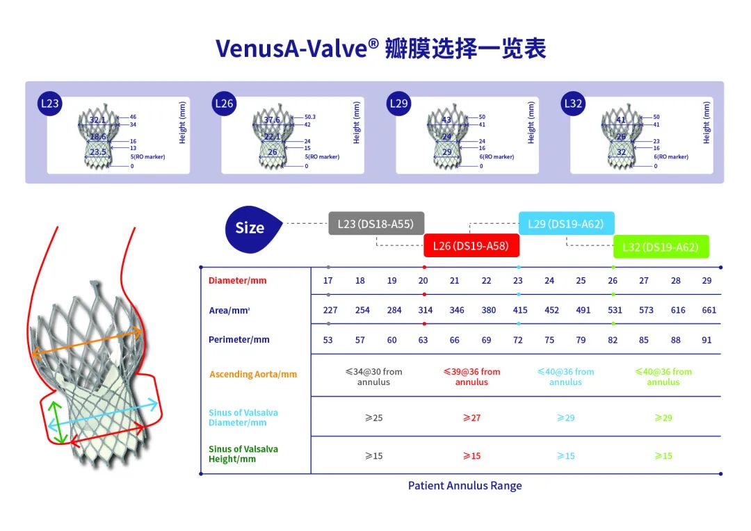 收放自如｜重庆市急救医疗中心胸心外科孔令文教授团队运用VenusA-Plus顺利完成一台TAVR手术 -- 严道医声网
