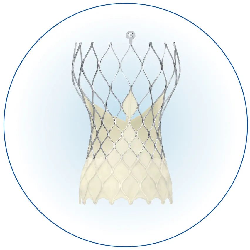 生而不凡 美力相瓣 | Evolut PRO大湾区创新联动，引领TAVR精准植入新境界 -- 严道医声网