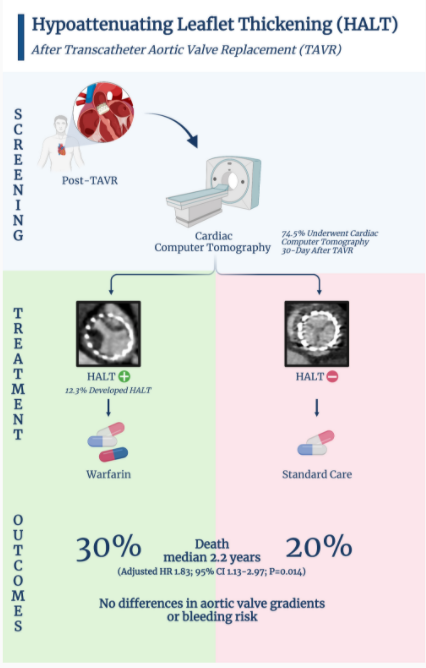 潘湘斌：经导管主动脉瓣置换术后低密度瓣叶增厚（HALT）的长期随访 -- 严道医声网
