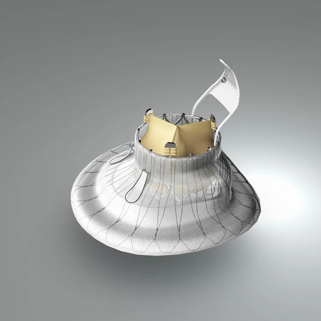 TVT 2022 | LuX-Valve系列产品亮相结构性心脏病峰会获高度认可 -- 严道医声网